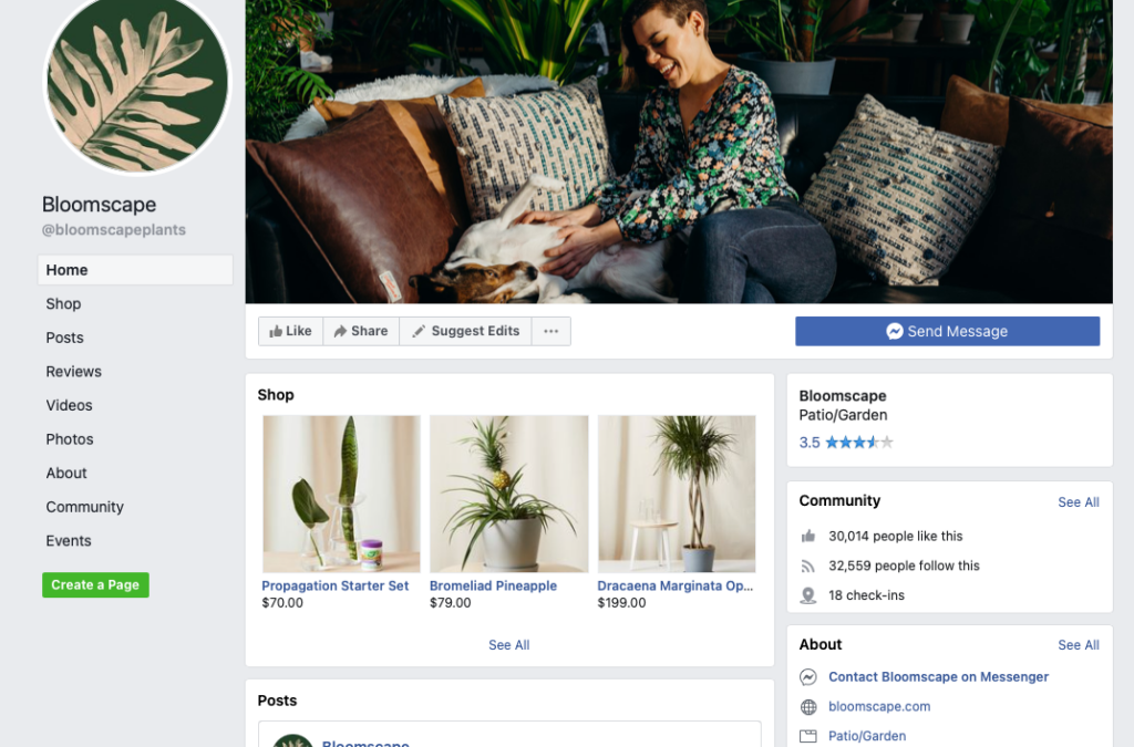 How to Do a Facebook Audit in 30 Minutes or Less - Amplitude Marketing