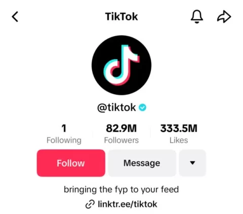 How to get verified on TikTok: 8 tips for 2025 - Amplitude Marketing